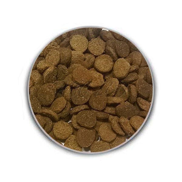 ACANA Adult Small Breed 2 kg | ABC-ZOO